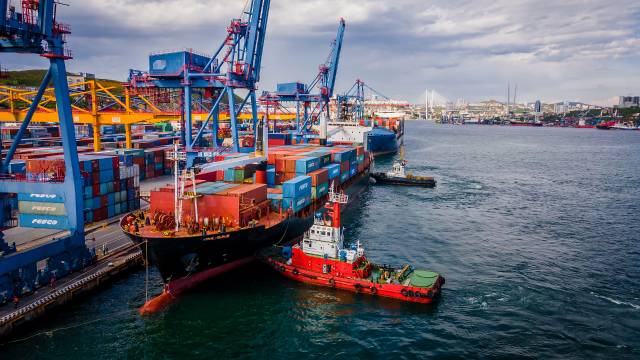 FESCO puts a second vessel on line connecting Russia and Vietnam ...