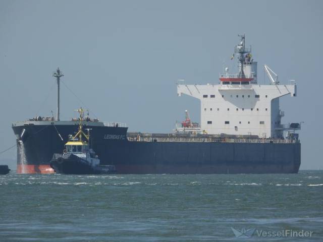 Diana Shipping Announces Time Charter Contract for mv Leonidas P. C ...