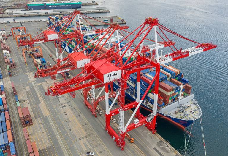 PSA Halifax To Add Muscle At Its Atlantic Hub Terminal With New Cranes ...