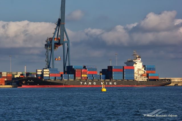 Yang Ming to Launch New Southeast Asia Services - VesselFinder