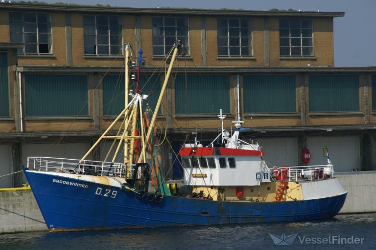 O29 BROODWINNER, Fishing vessel - Details and current position - MMSI ...