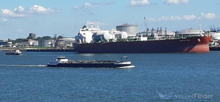 MRD-RUNNER, Port tender - Details and current position - MMSI 205535890 ...