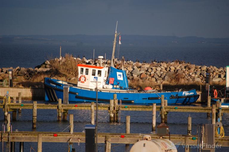 GOLIATH, Unknown - Details and current position - MMSI 219002798 ...