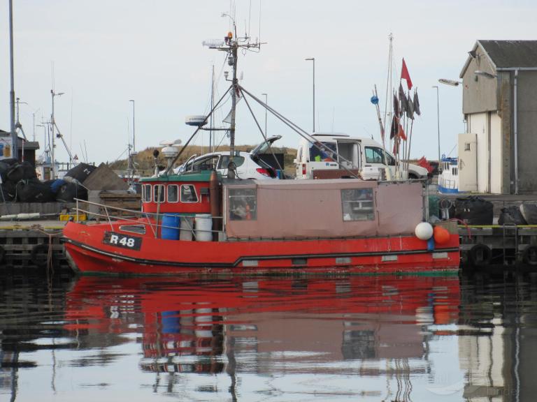 R48 TINA, Unknown - Details and current position - MMSI 219004144 ...