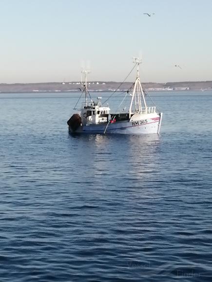 MATI HM365, Fishing vessel - Details and current position - MMSI ...