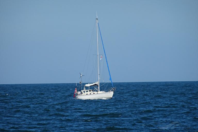 AUK, Sailing vessel - Details and current position - MMSI 219008841 ...