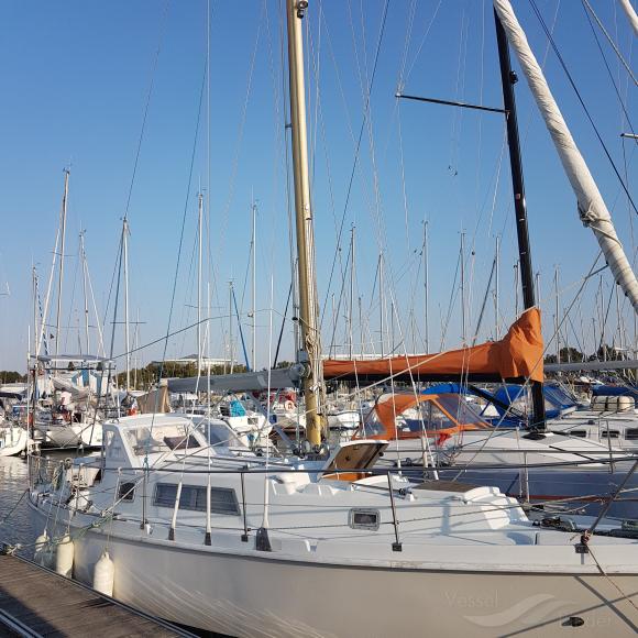 GOOD BOY, Sailing vessel - Details and current position - MMSI ...