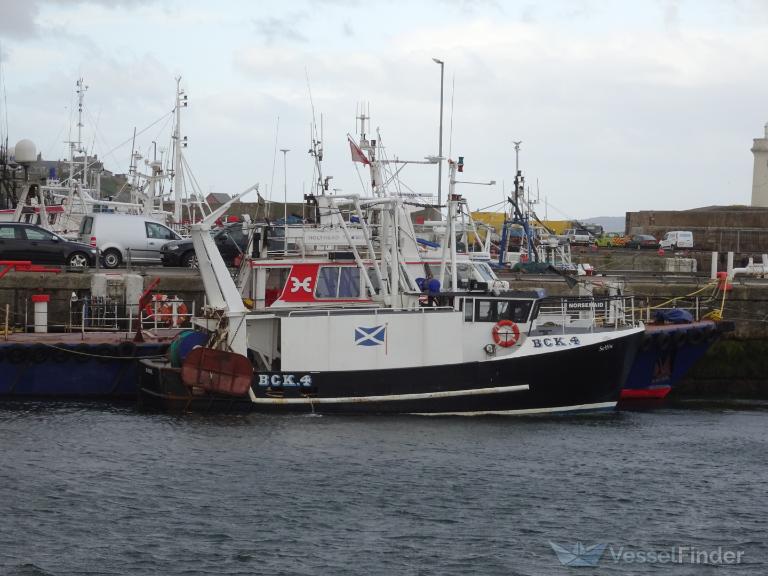 SALTIRE BCK4, Fishing vessel - Details and current position - MMSI ...