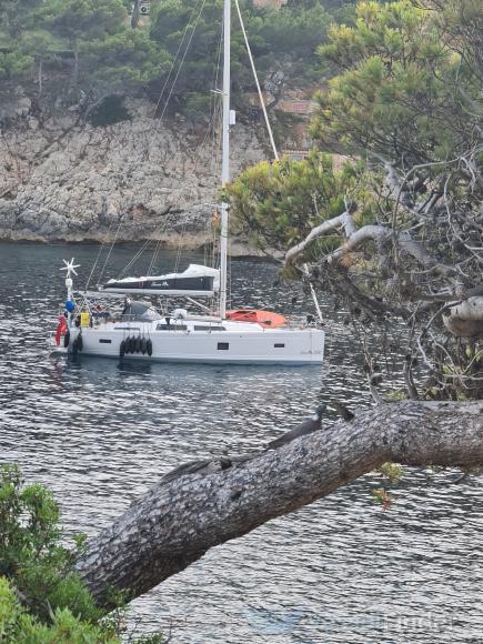 FREE SPIRIT, Sailing vessel - Details and current position - MMSI ...