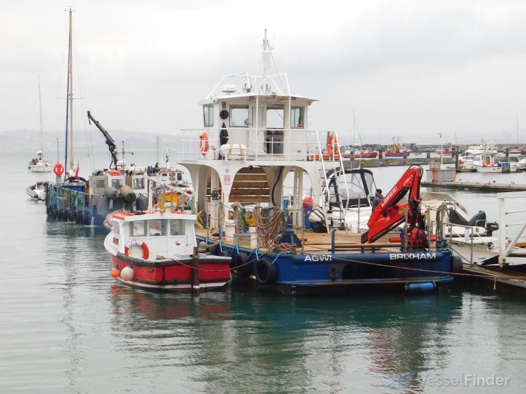 AGWI, Port tender - Details and current position - MMSI 232049770 ...