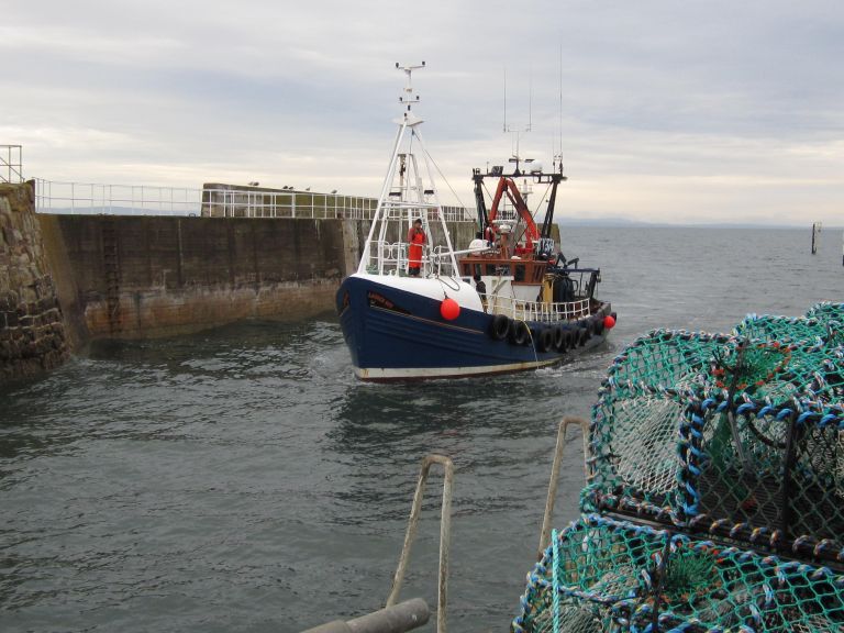 MFV LAUNCH OUT, Fishing vessel - Details and current position - MMSI ...