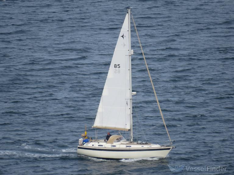 SEA ROSE, Sailing vessel - Details and current position - MMSI ...