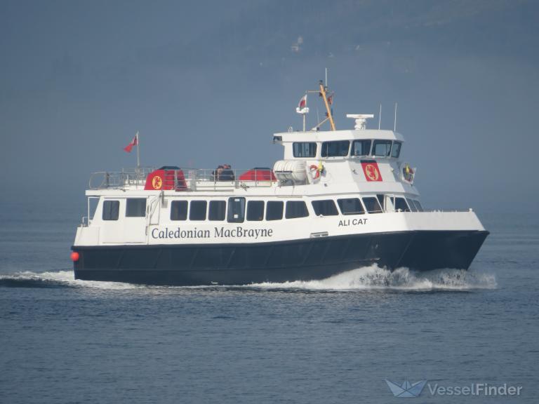 ALI CAT, Passenger ship - Details and current position - MMSI 235056506 ...