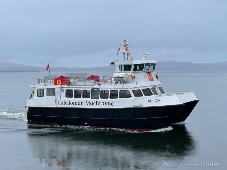 ALI CAT, Unknown - Details and current position - MMSI 235056506 ...