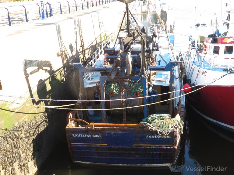 RAMBLING ROSE, Fishing vessel - Details and current position - MMSI ...