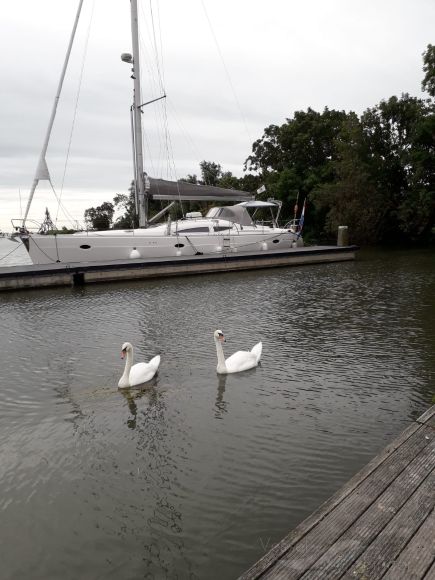 GULLIVER SY, Sailing vessel - Details and current position - MMSI ...