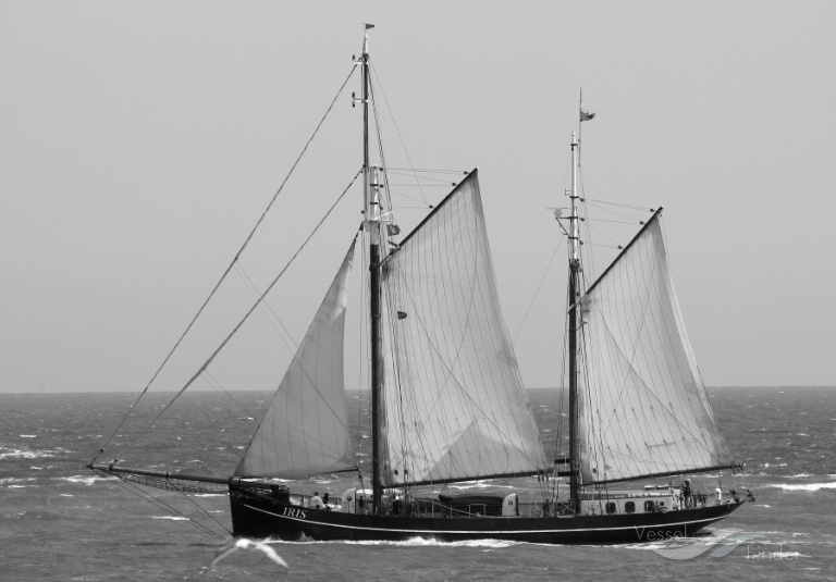 IRIS, Sailing vessel - Details and current position - IMO 8334990 ...