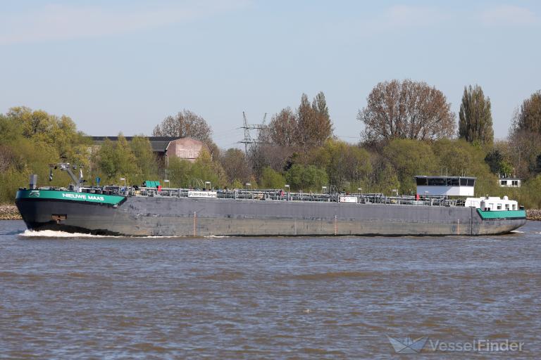 NIEUWE MAAS, Tanker - Details and current position - MMSI 244316022 ...