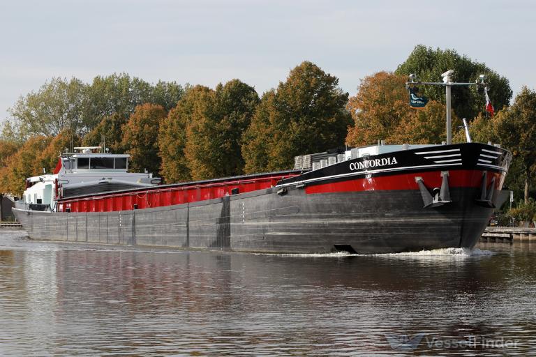 CONCORDIA, Cargo ship - Details and current position - MMSI 244650861 ...