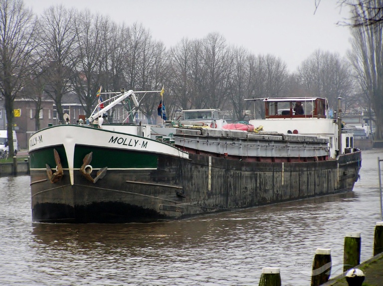 MOLLY, Cargo ship - Details and current position - MMSI 244750084 ...