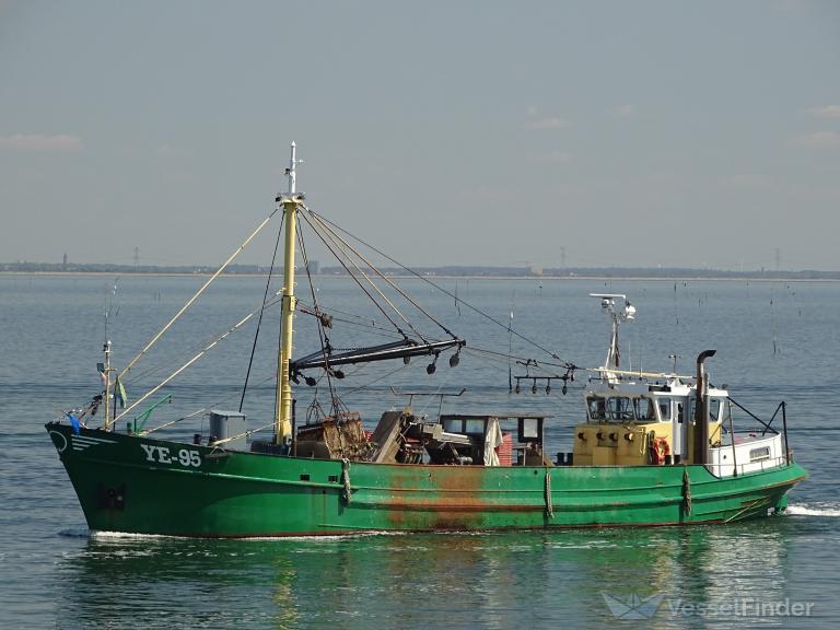 YE95 PRIMAR, Fishing vessel - Details and current position - MMSI ...
