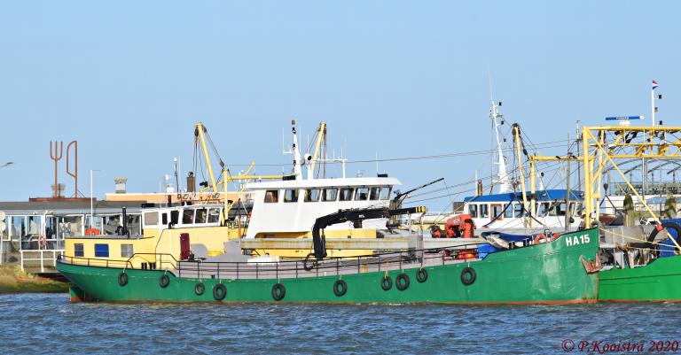 HA15 SHELLFISH, Fishing vessel - Details and current position - MMSI ...