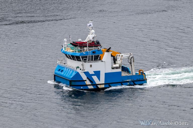 FOX OCEAN, Tug - Details and current position - MMSI 257264500 ...