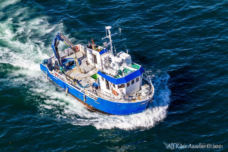 NAVOEY, Cargo ship - Details and current position - MMSI 257534500 ...