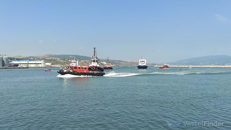 ARK-1, Passenger ship - Details and current position - MMSI 271042072 ...