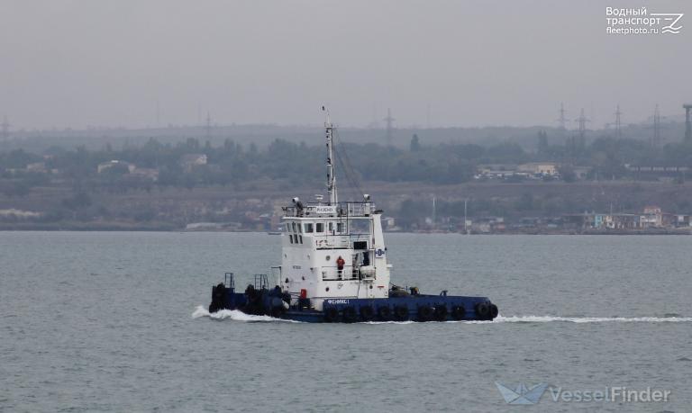 PHOENIX 1, Tug - Details and current position - MMSI 273374250 ...