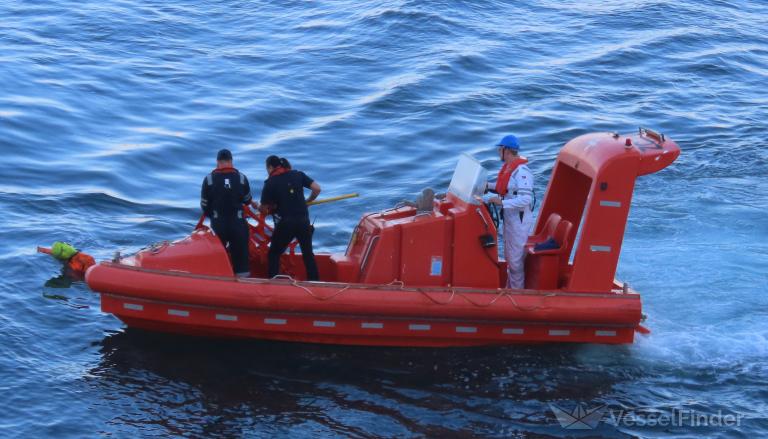 RESCUE STBD ARCADIA, SAR - Details and current position - MMSI ...