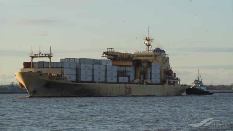 DOLE ECUADOR, Container Ship - Dettagli della nave e posizione attuale ...