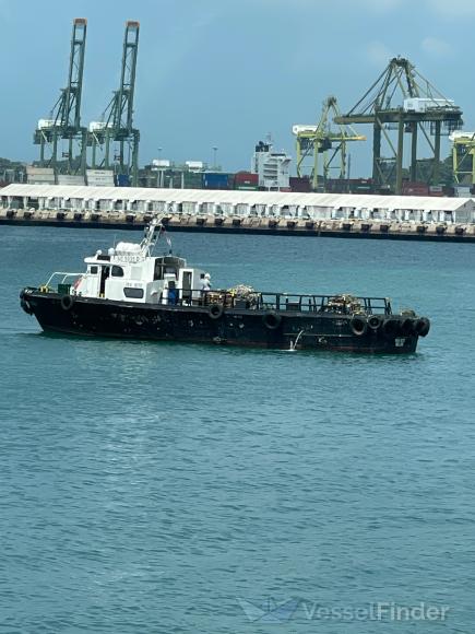 SEA KITE, Cargo ship - Details and current position - MMSI 312763000 ...