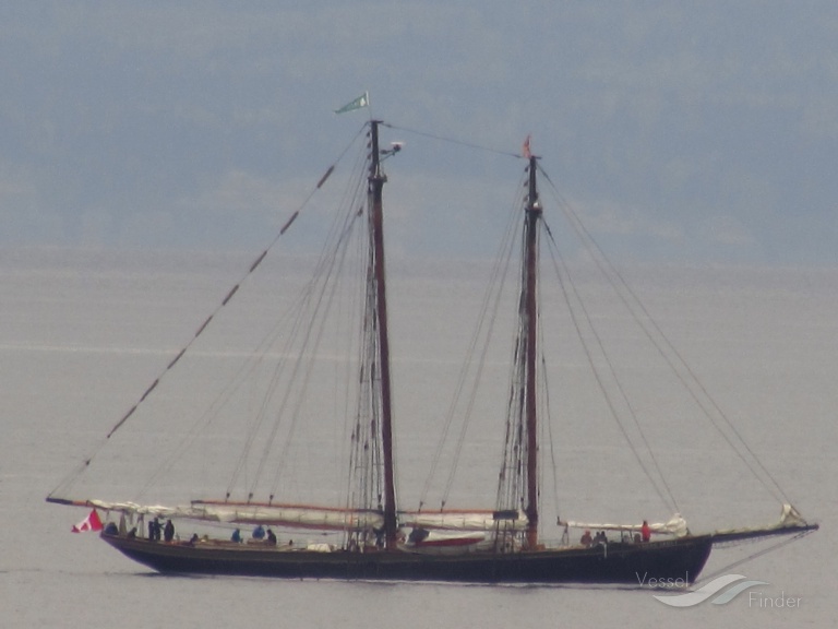 PACIFIC GRACE, Passenger ship - Details and current position - MMSI ...