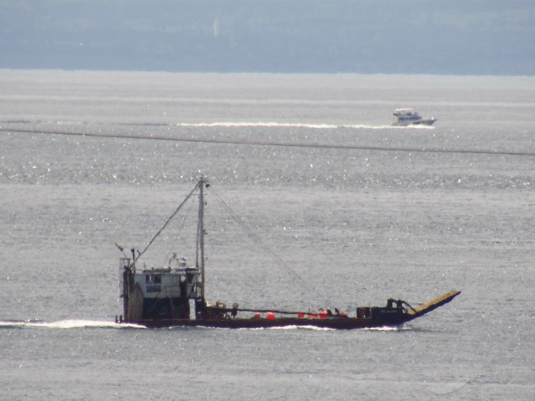 SEA ROAMER, Cargo ship - Details and current position - MMSI 316003174 ...