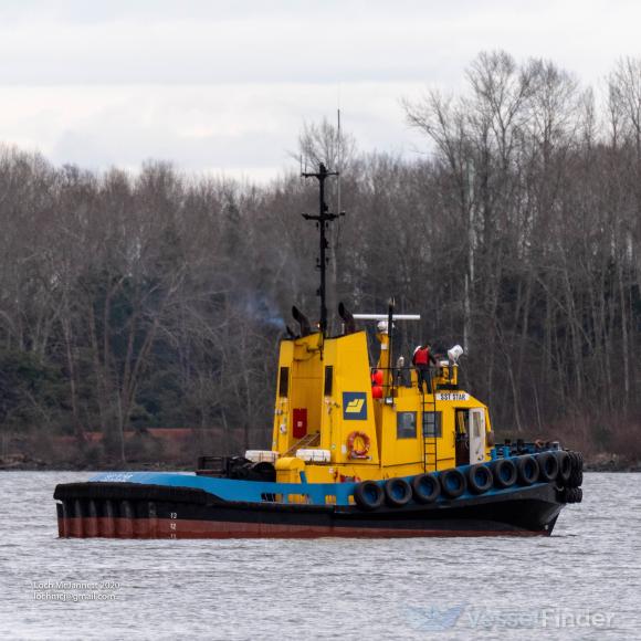 SAAM STAR, Tug - Details and current position - MMSI 316005613 ...