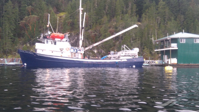 SILVER DOLPHIN, Other type - Details and current position - MMSI ...