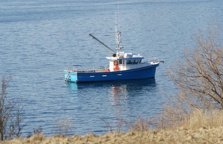 EASTCOM, Diving ops - Details and current position - MMSI 316018275 ...
