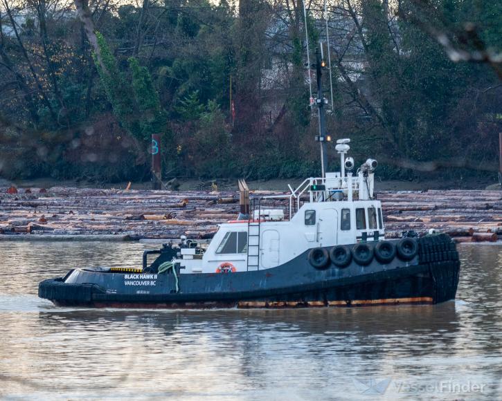 BLACK HAWK II, Tug - Details and current position - MMSI 316021382 ...