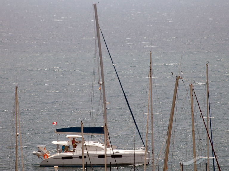 HALCYON VIII, Sailing vessel - Details and current position - MMSI ...