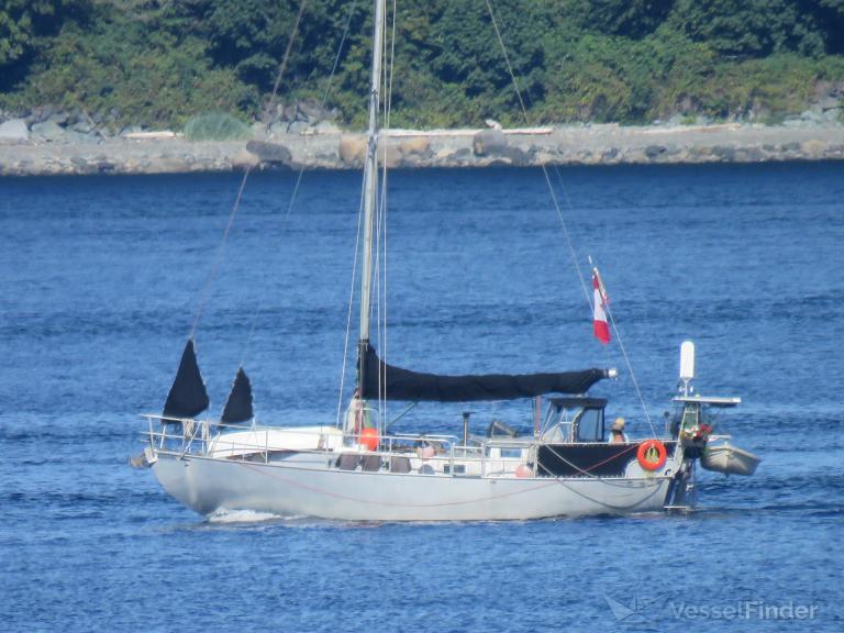 TEMPEST, Sailing vessel - Details and current position - MMSI 316046486 ...