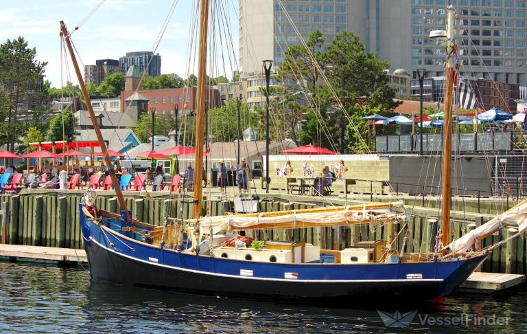 MIMI JANE, Sailing vessel - Details and current position - MMSI ...