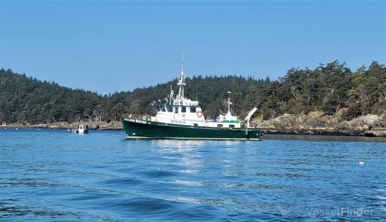 SALISH ROVER, Unknown - Details and current position - MMSI 338141592 ...