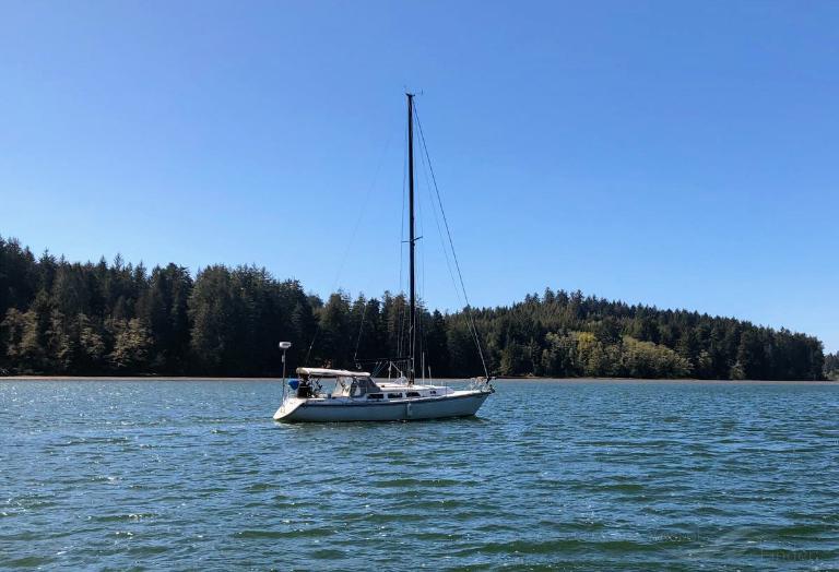 DIZZY LIZZY, Pleasure craft - Details and current position - MMSI ...