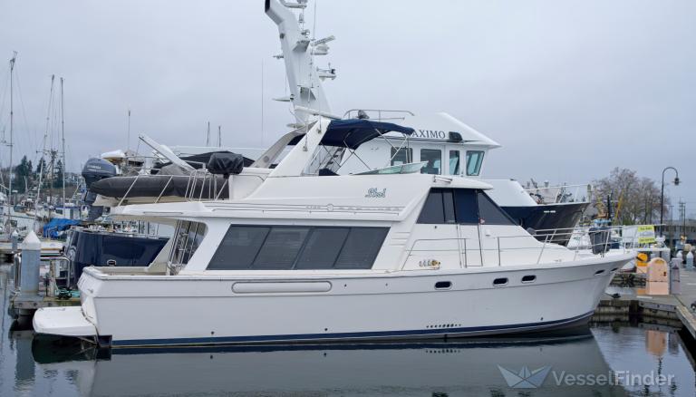 SKOL, Pleasure craft - Details and current position - MMSI 338429613 ...