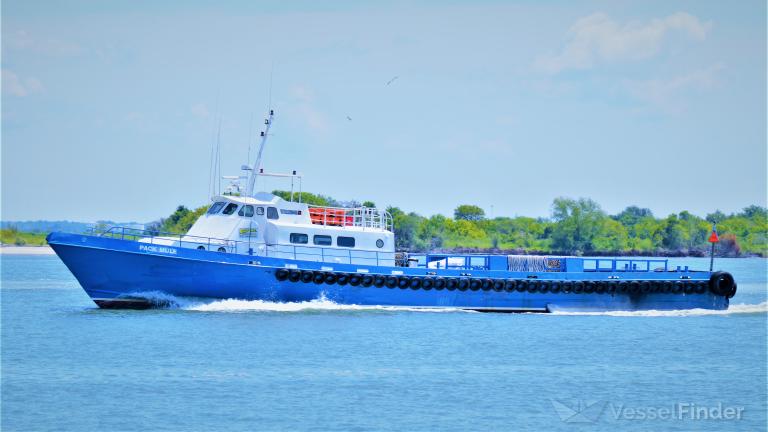 PACK MULE, HSC - Details and current position - MMSI 366822520 ...