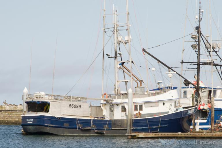 FV FALCON, Fishing vessel - Details and current position - MMSI ...