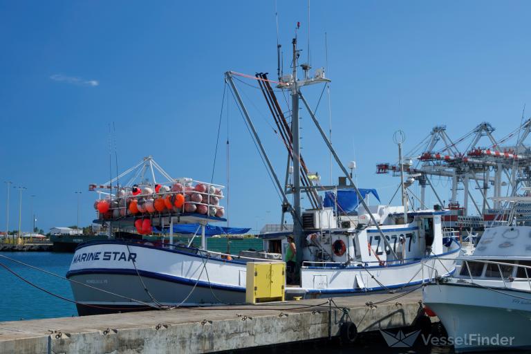 MARINE STAR, Fishing vessel - Details and current position - MMSI ...