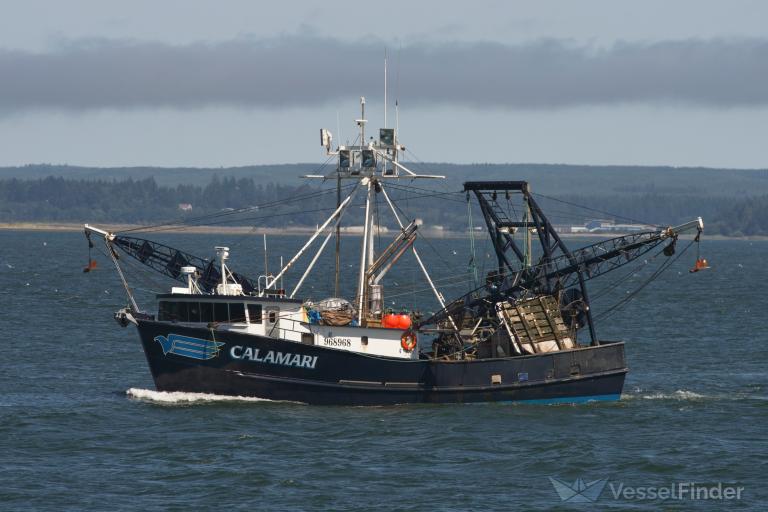 CALAMARI, Fishing vessel - Details and current position - MMSI ...