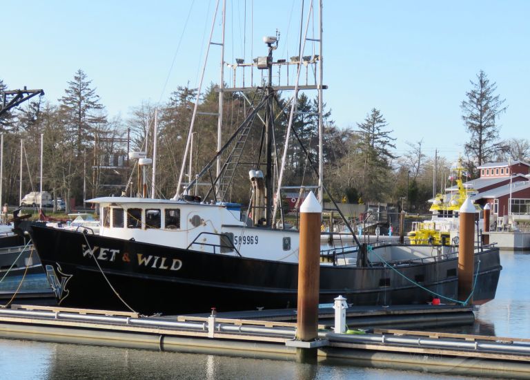 WET WILD, Fishing vessel - Details and current position - MMSI ...